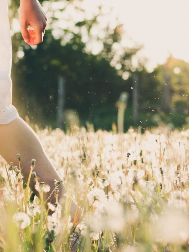 I Just Want to Live a Simple Life - Faith Heritage At Home